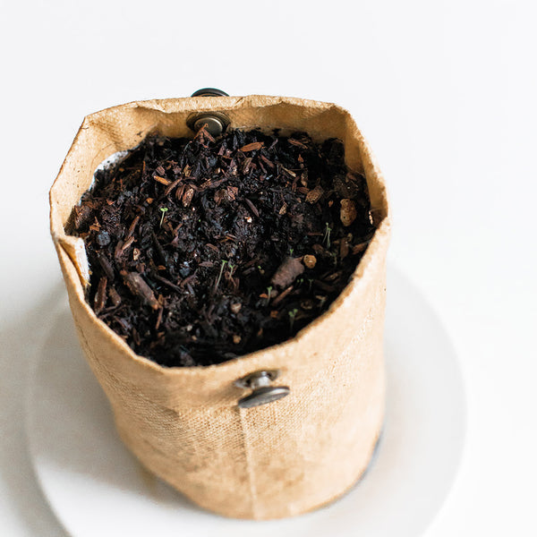 Brewing Creativity: How to Repurpose Your Used Loose Leaf Tea Leaves ...